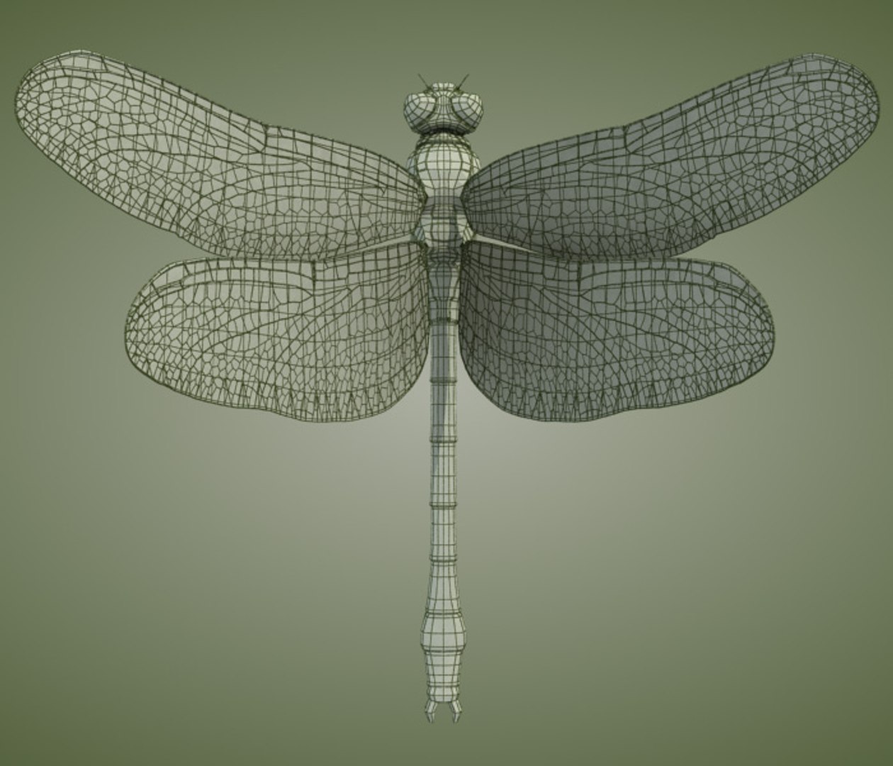 Dragonfly Wings 3d Model