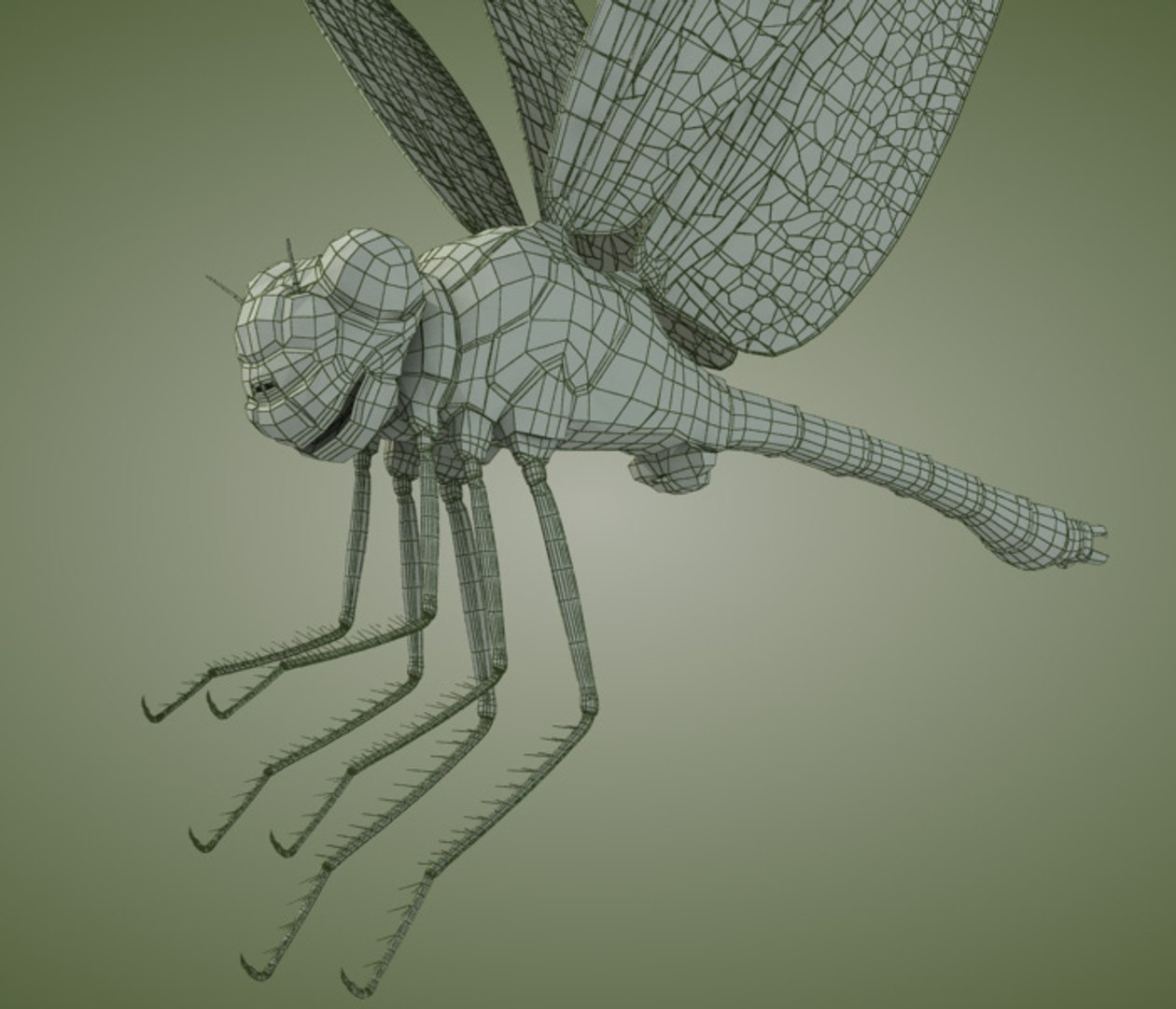 Dragonfly Wings 3d Model