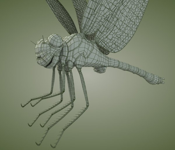 dragonfly wings 3d model