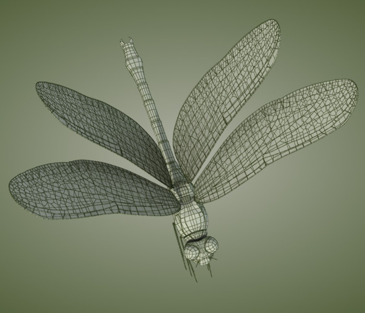 Dragonfly Wings 3d Model