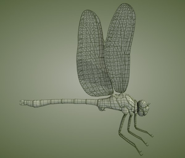 dragonfly wings 3d model