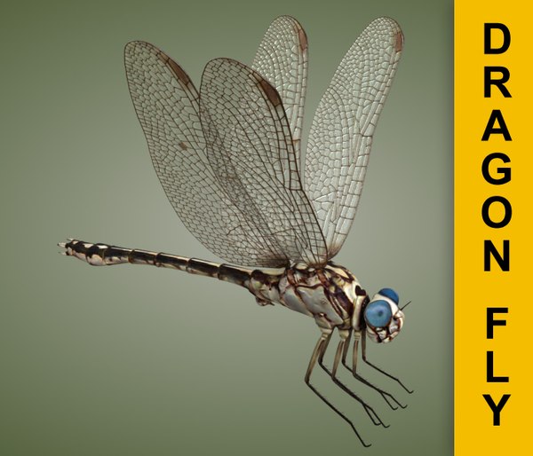 dragonfly wings 3d model