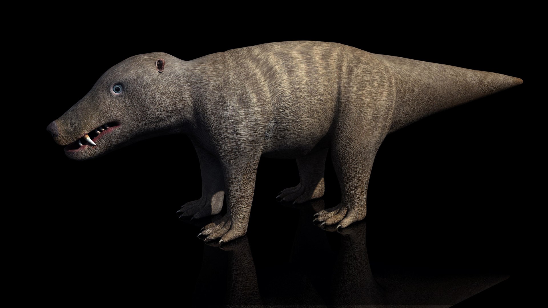 3D Cynognathus - TurboSquid 2169788
