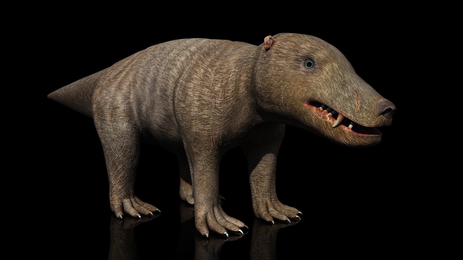 3D Cynognathus - TurboSquid 2169788