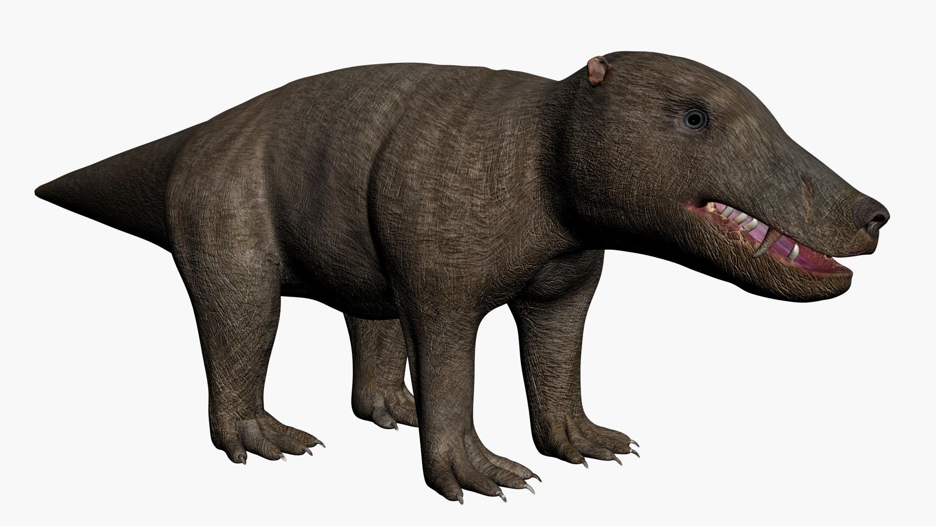 3D Cynognathus - TurboSquid 2169788