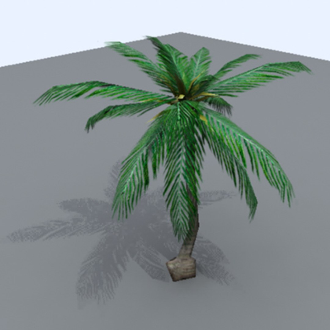 3d Palm Tree