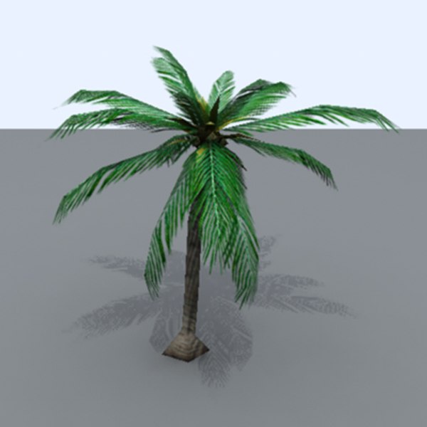 3d palm tree