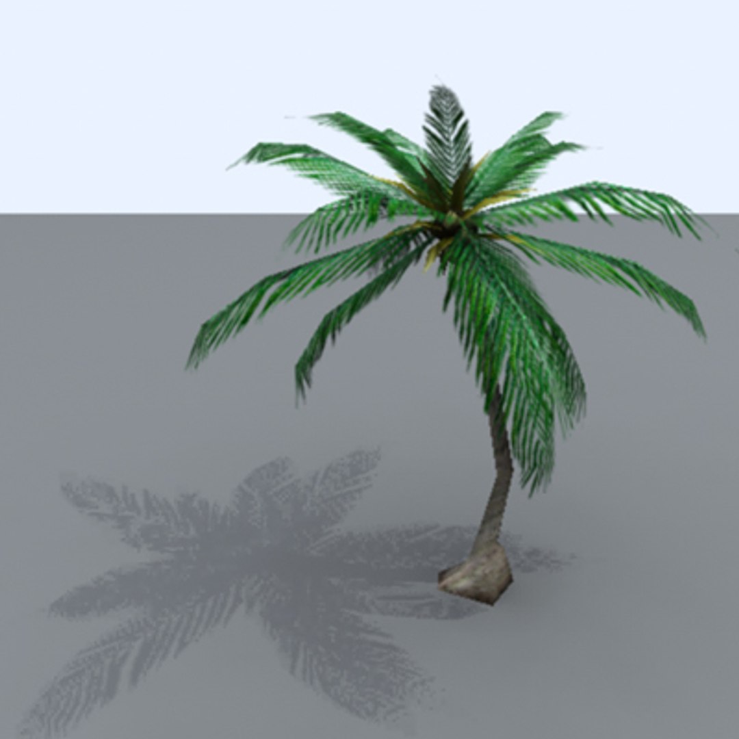 3d Palm Tree