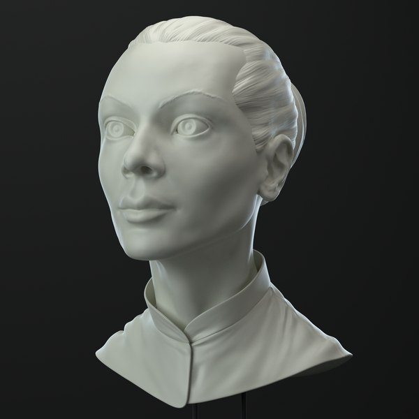 Anatomy Ztool 3D Models for Download | TurboSquid