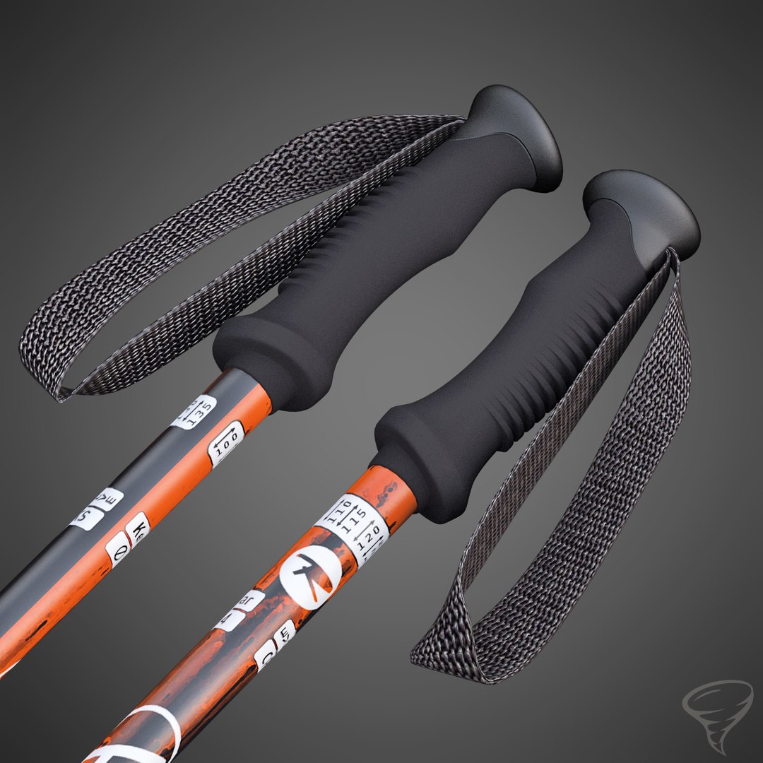 Alpine Ski Poles Max