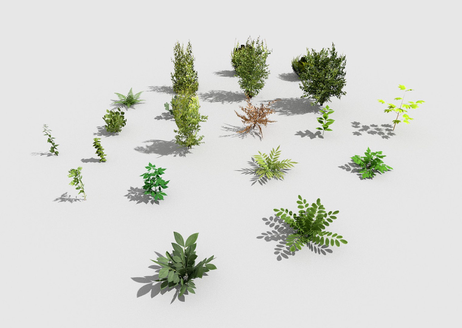Plants 3d 3ds
