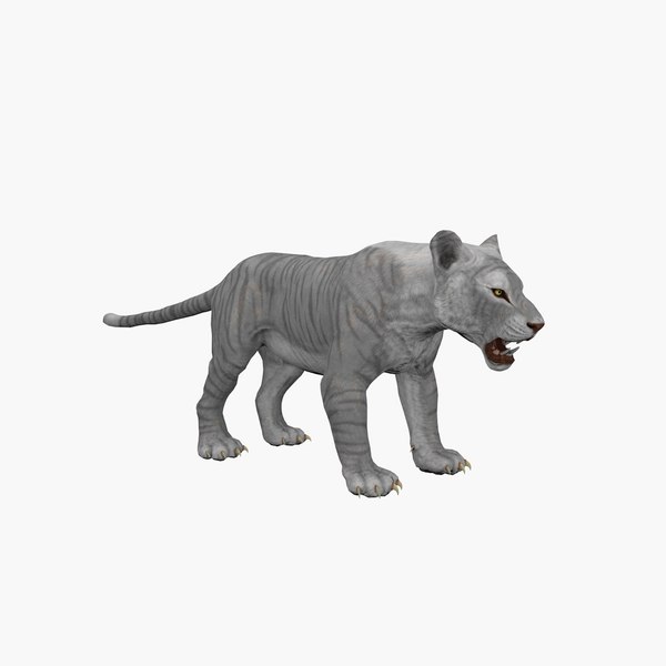 Tiger 3D Models for Download | TurboSquid