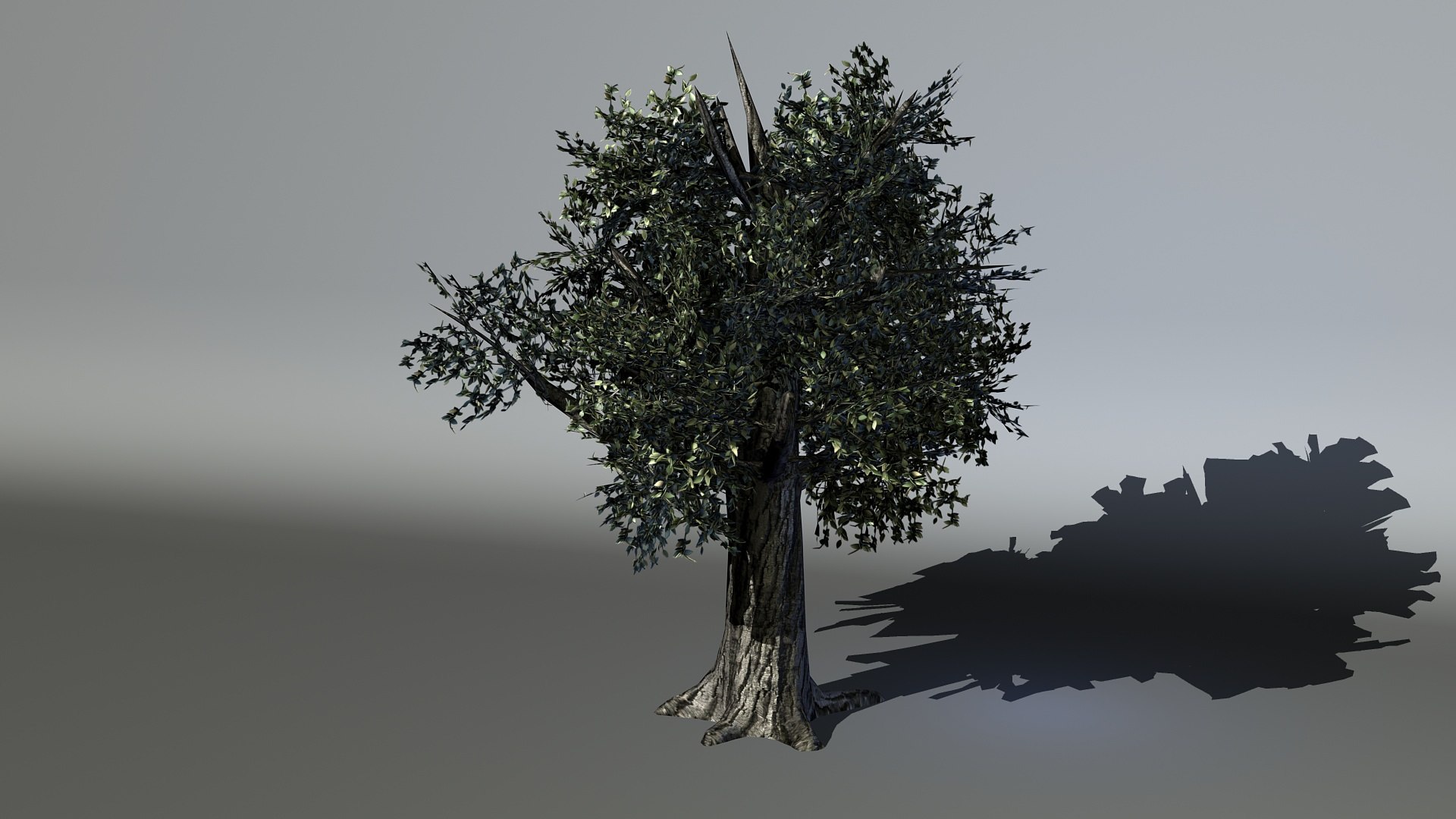 Ready Tree 3d Model