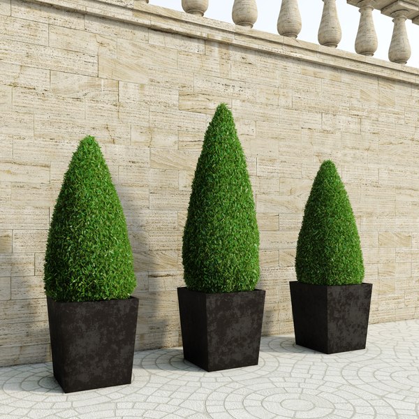 Topiary 3D Models for Download | TurboSquid