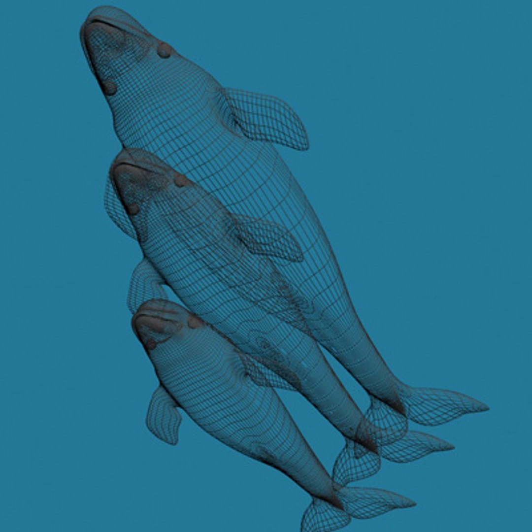 Max Beluga Mid-poly