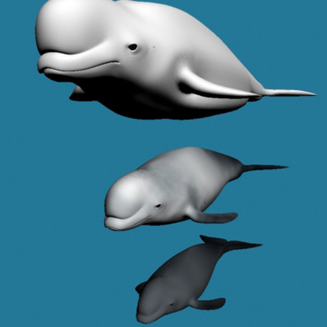Max Beluga Mid-poly