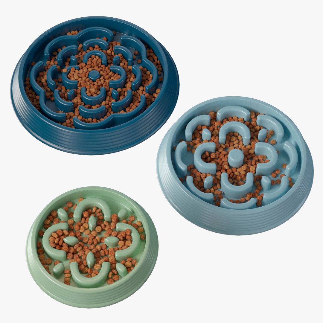 Pet slow feeder 3D - TurboSquid 1759933
