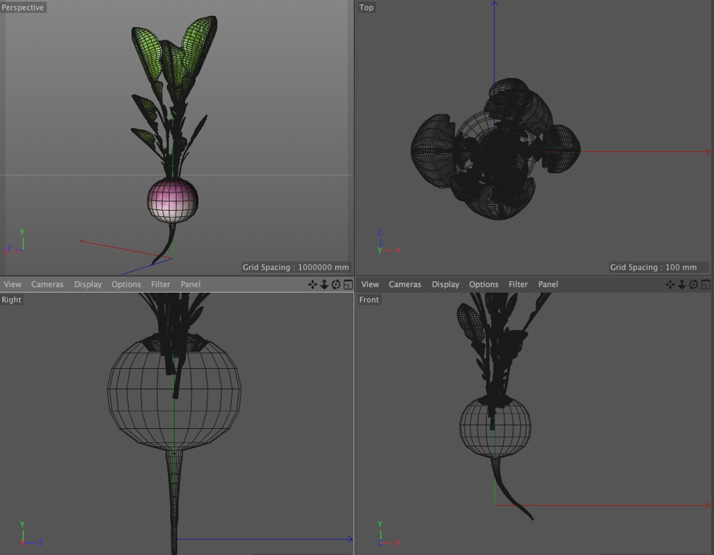 3D Radish - TurboSquid 1544599