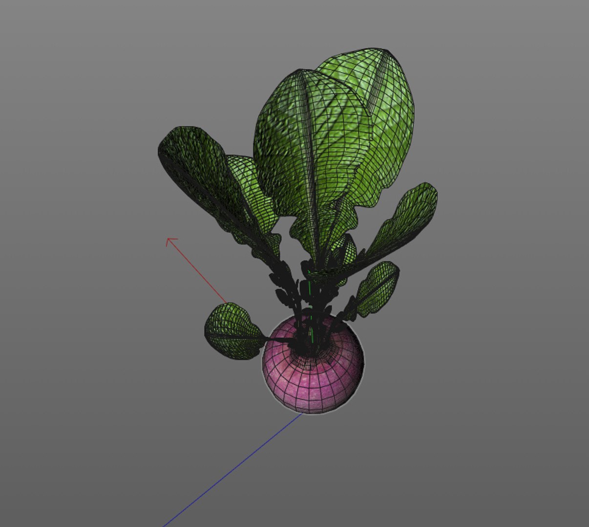 3D Radish - TurboSquid 1544599