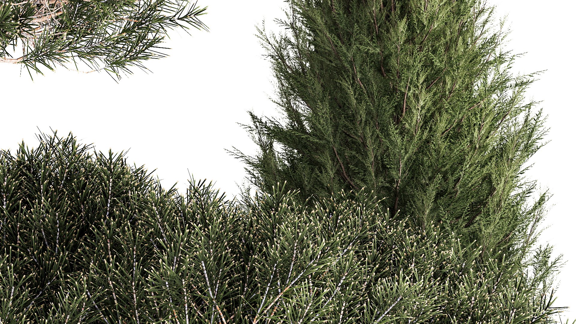 3D Beautiful Plants Alpine Hill Pine Bonsai Bushes Grass 1339 Model ...