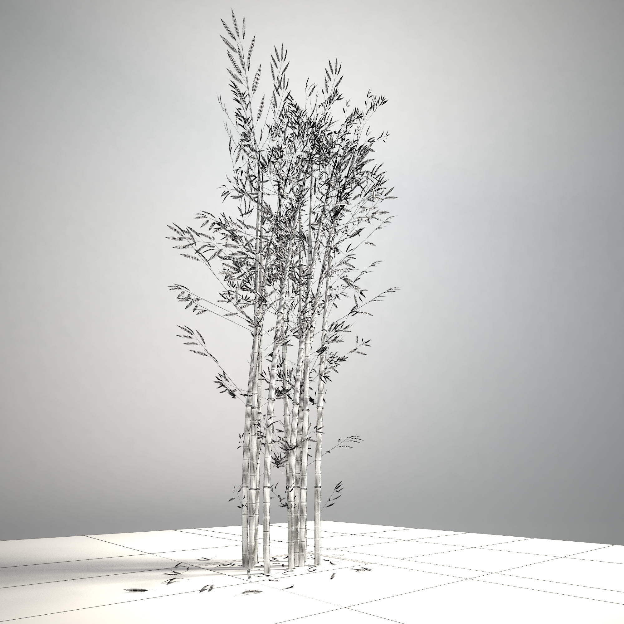 3d exterior bamboo tree