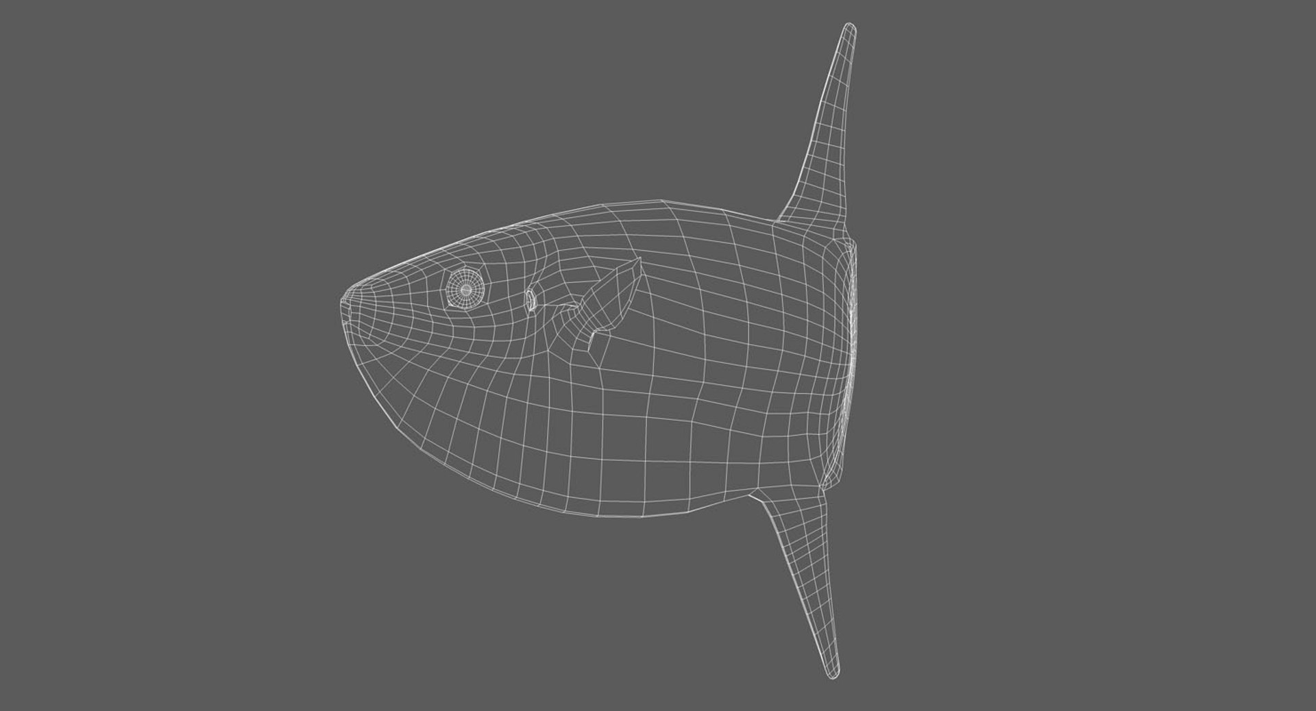 3D Slender Sunfish - TurboSquid 1198951
