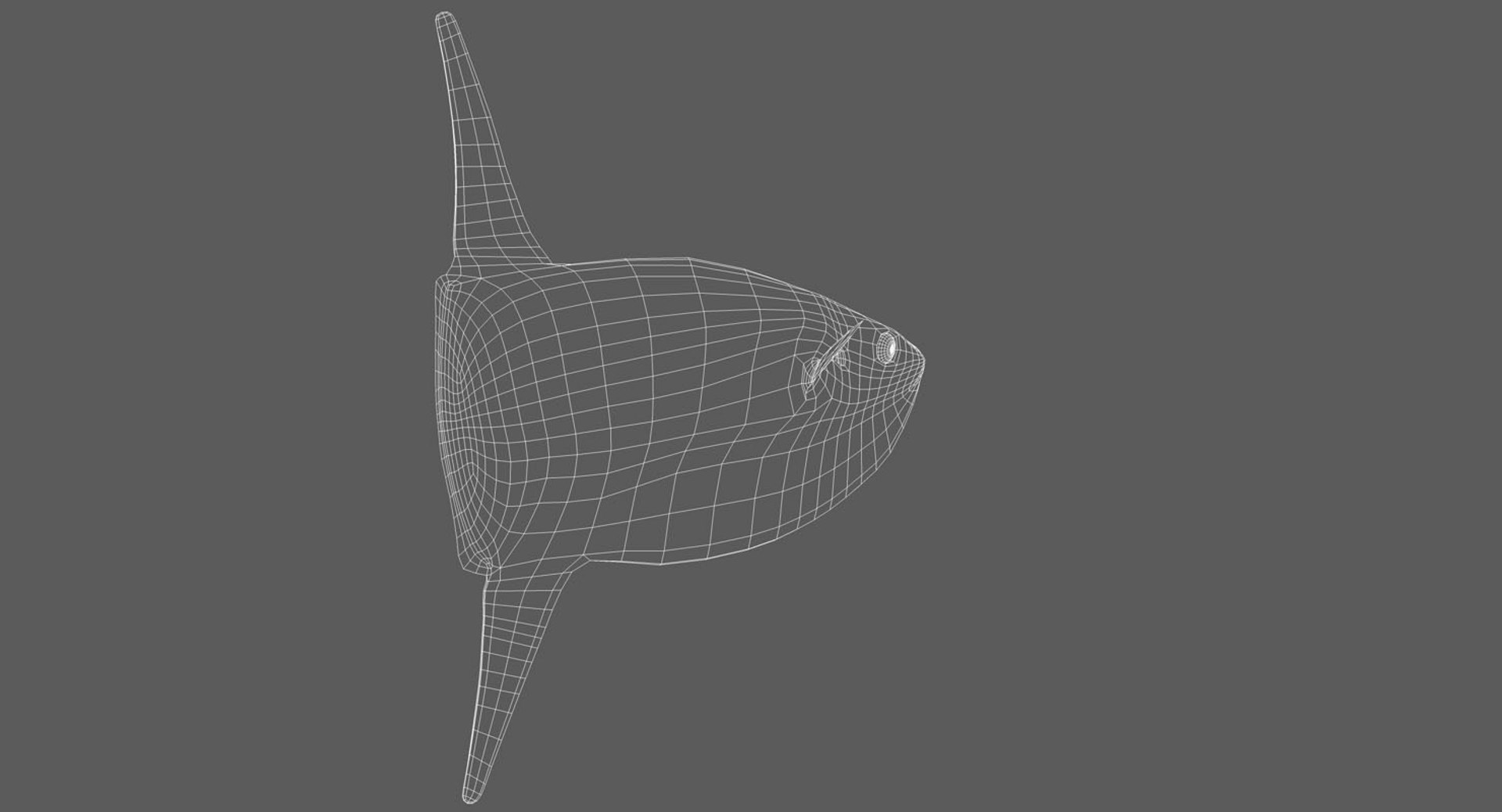 3D Slender Sunfish - TurboSquid 1198951