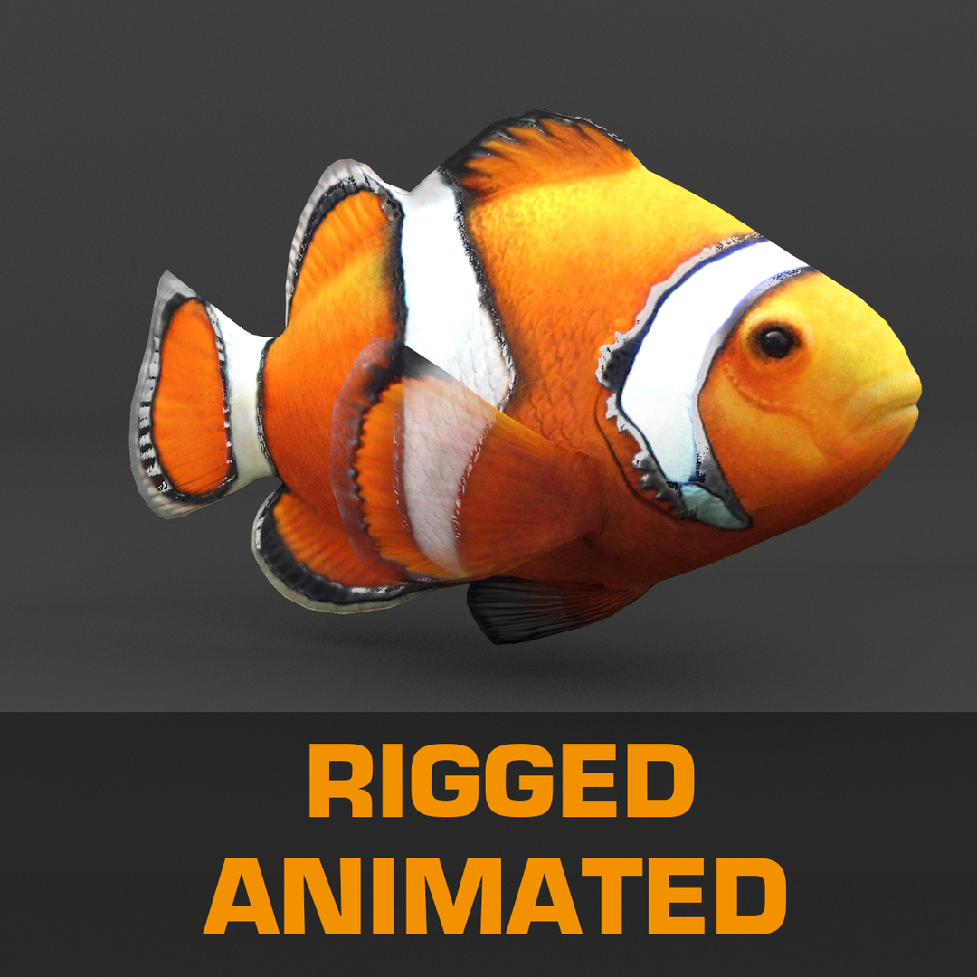 3d coral reef fishes model