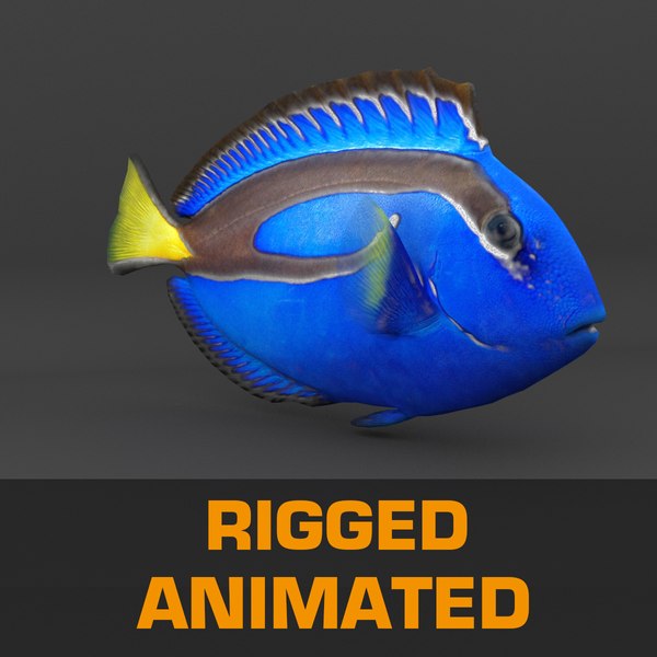 3d coral reef fishes model