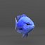 3d coral reef fishes model