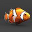 3d coral reef fishes model