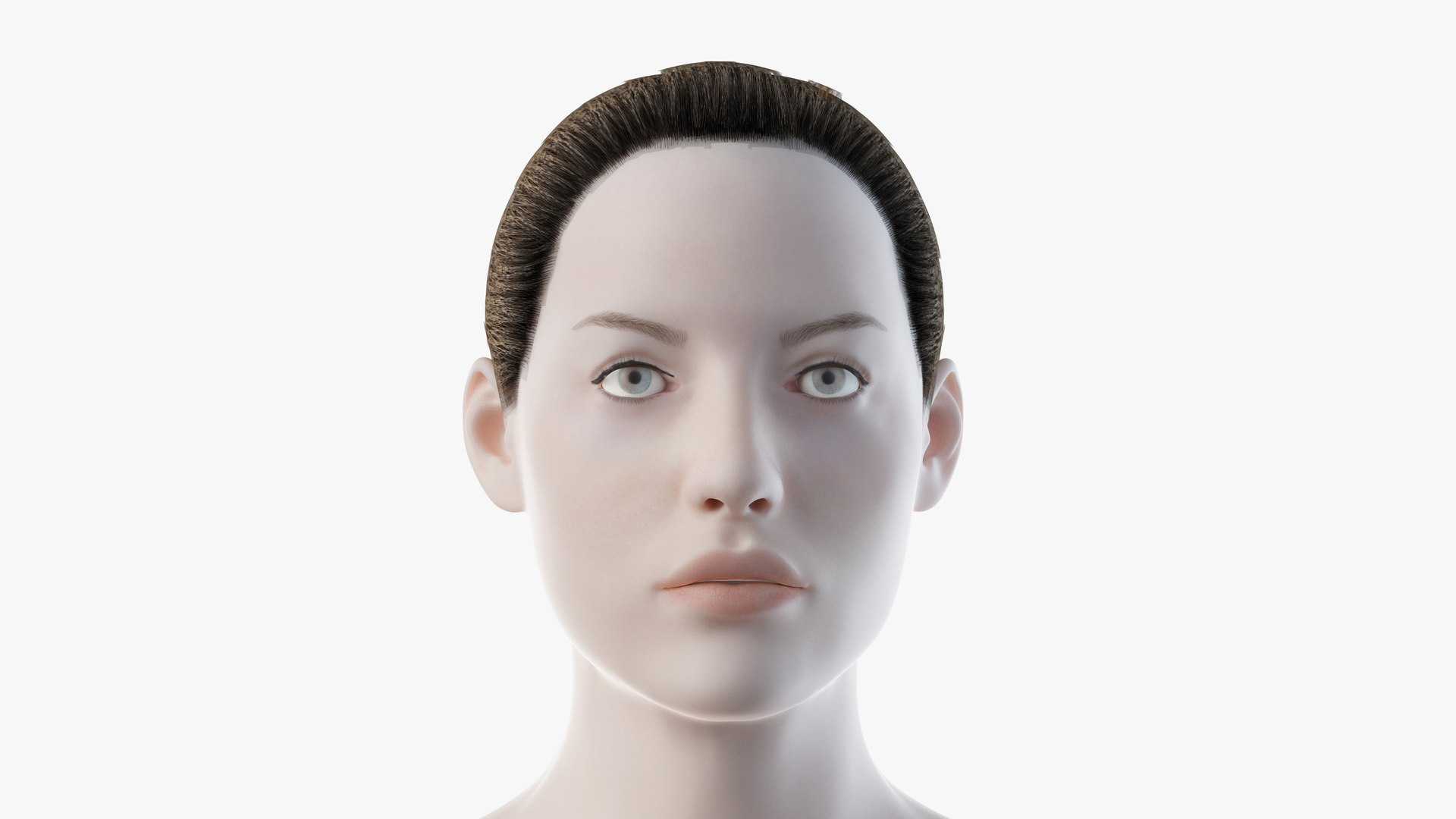 3D skin female skeleton muscles model - TurboSquid 1511223