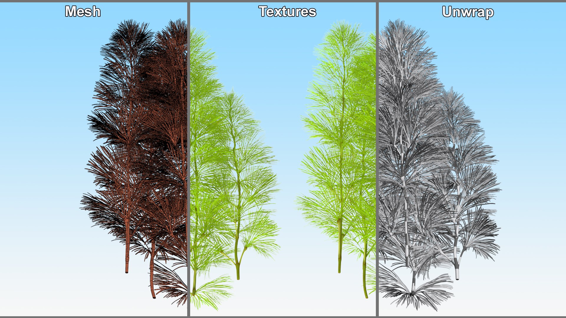 Cabomba Aquarium Plant 3D - TurboSquid 2154195