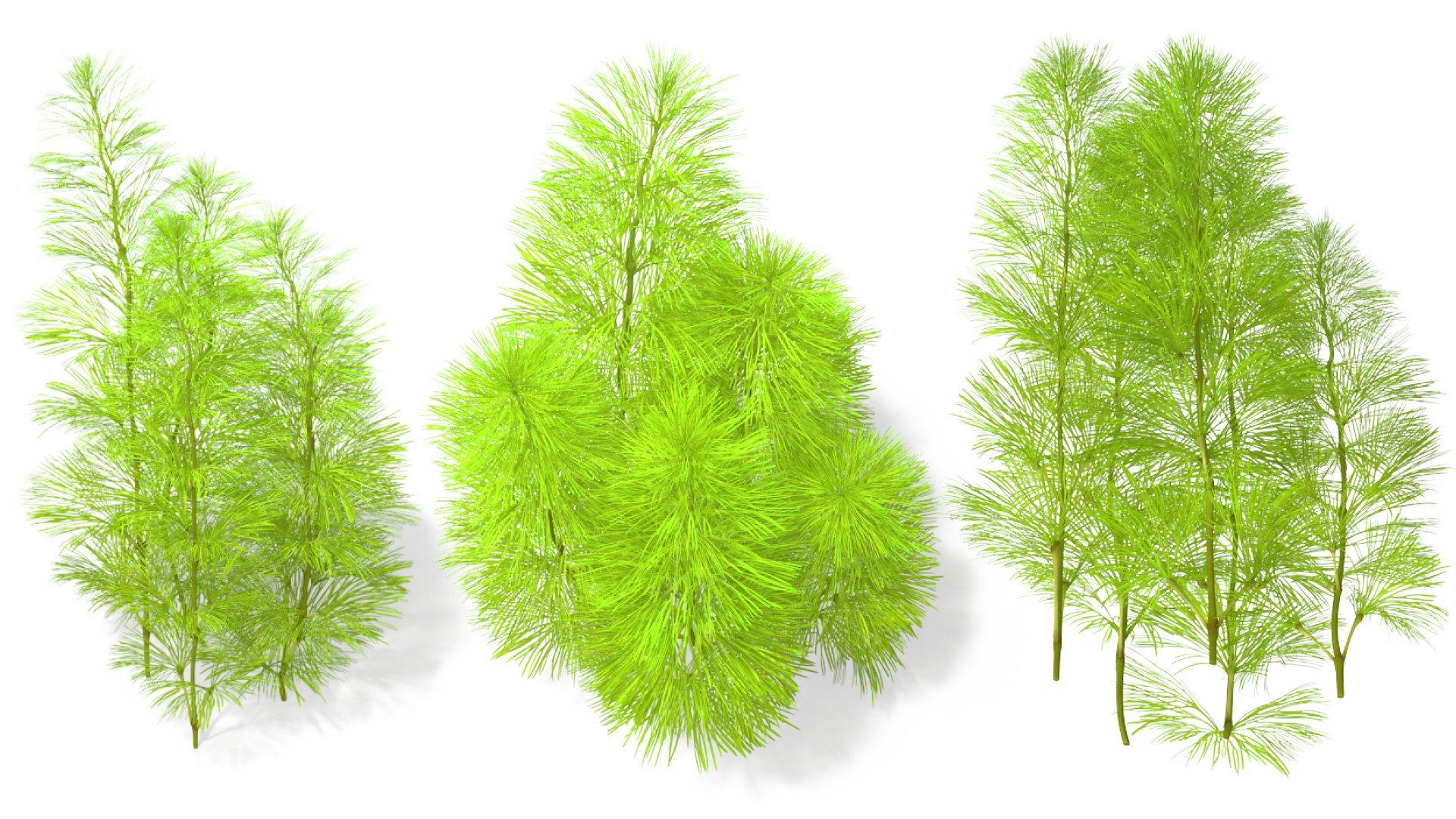 Cabomba Aquarium Plant 3D - TurboSquid 2154195