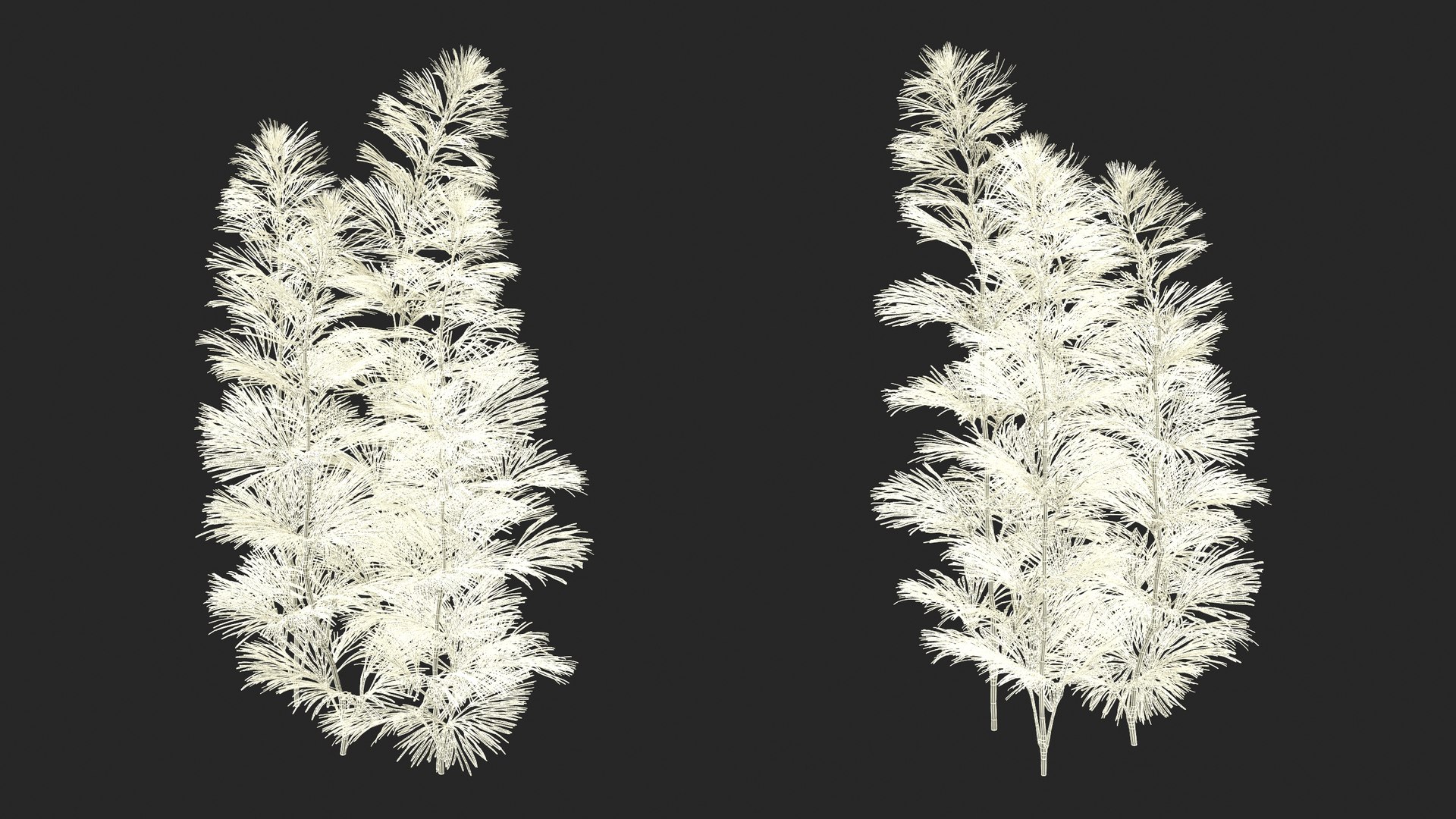 Cabomba Aquarium Plant 3D - TurboSquid 2154195