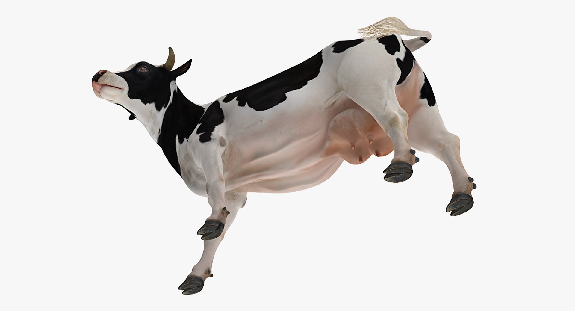 3D model holstein cow - TurboSquid 1247281