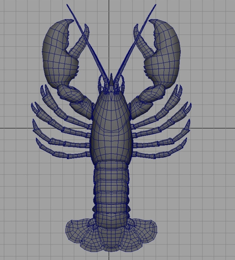 3d Lobster