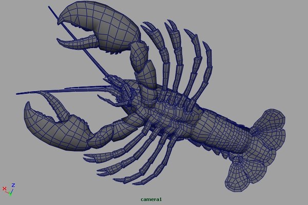 3d lobster