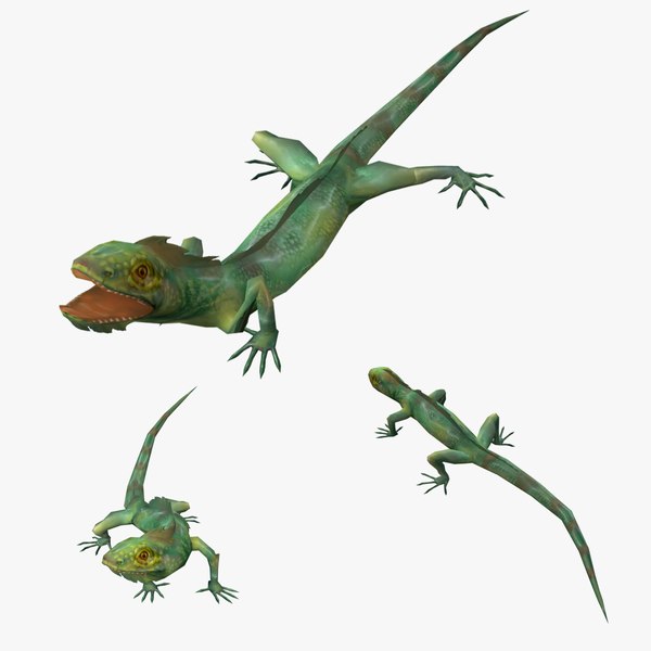modelo 3d low-poly animated lizard - TurboSquid 1950571