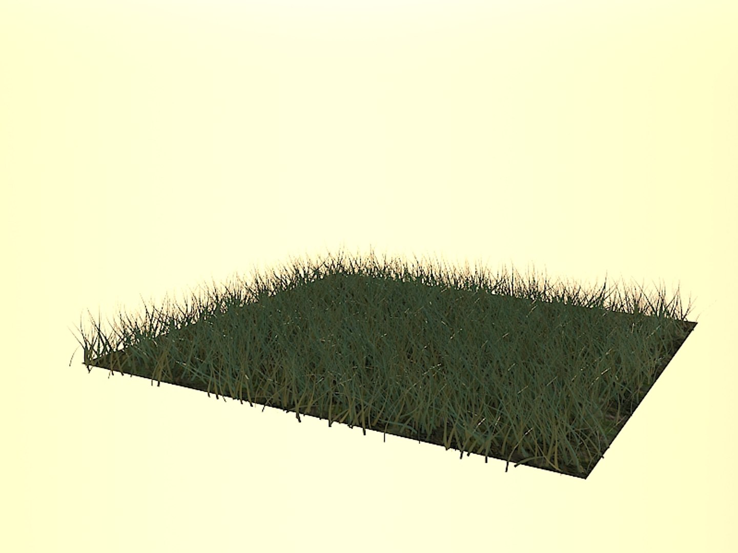 3d Grass Proxy Model