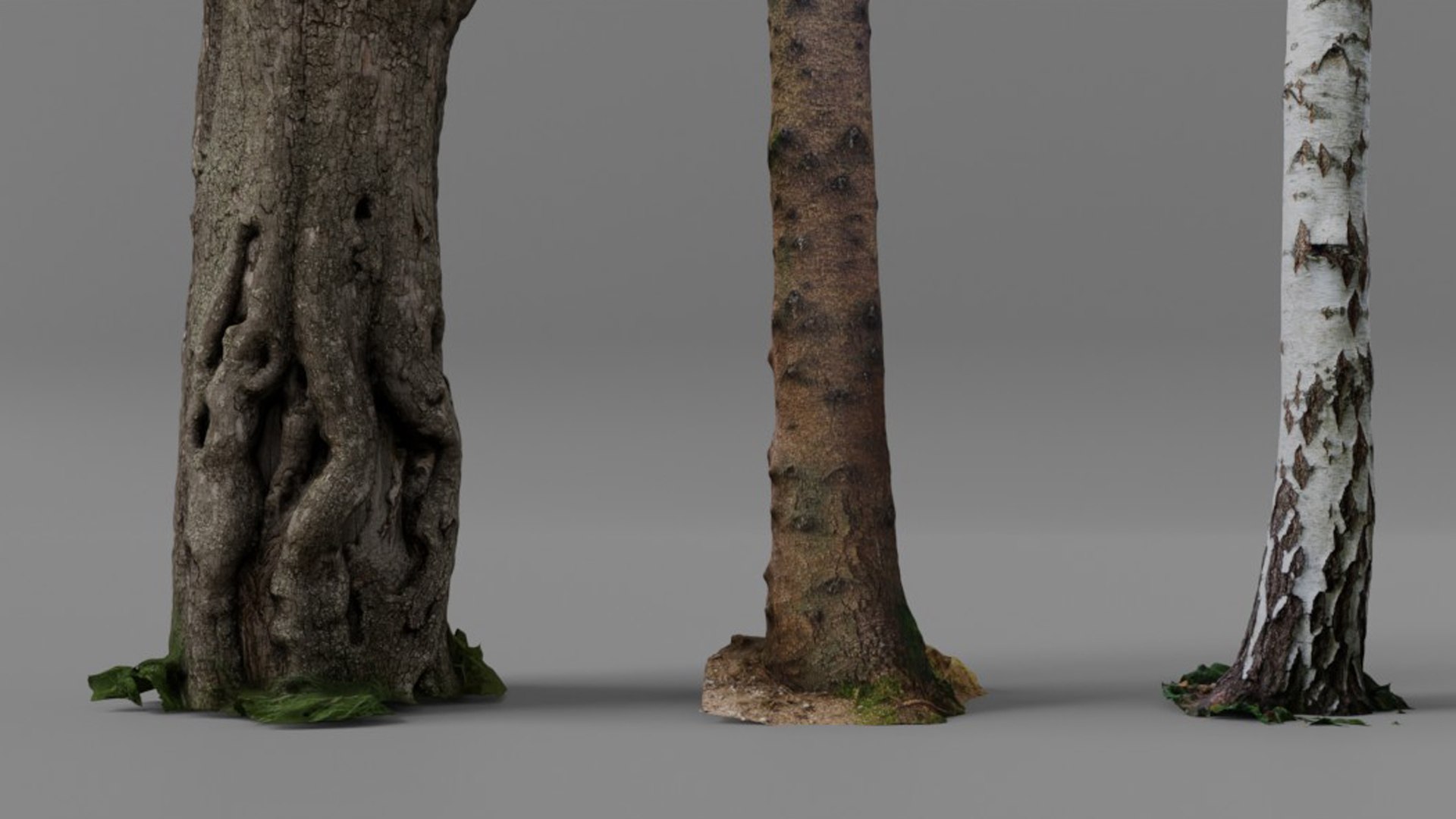 Photorealistic Tree Trunks 3D Model - TurboSquid 1802669