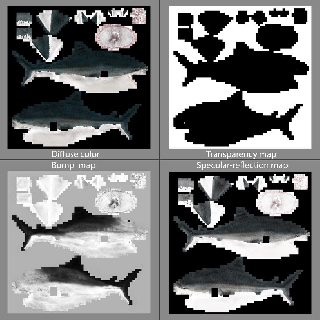 Tiger Shark 3d Model