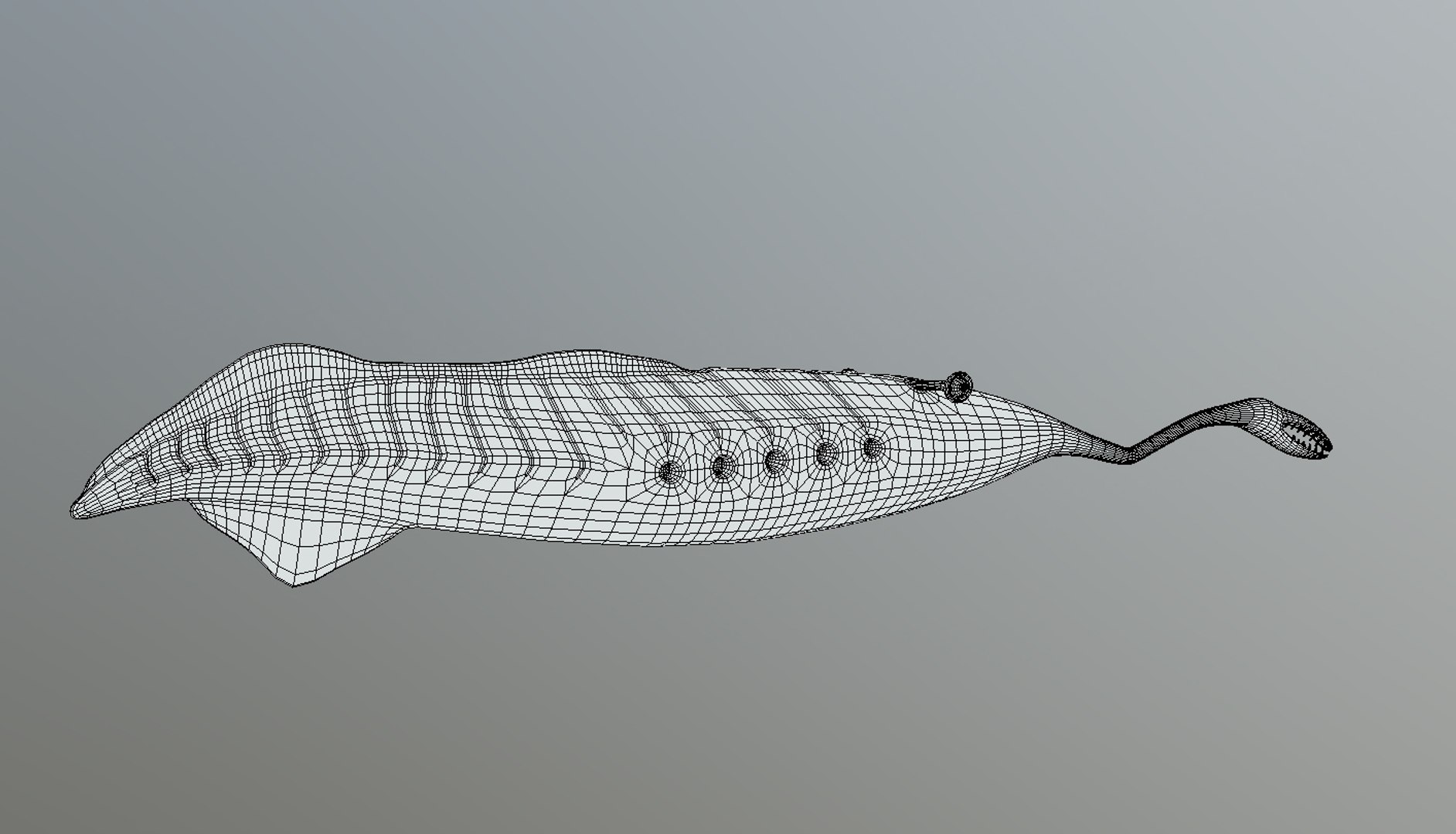 3D Tullimonstrum - TurboSquid 1386394