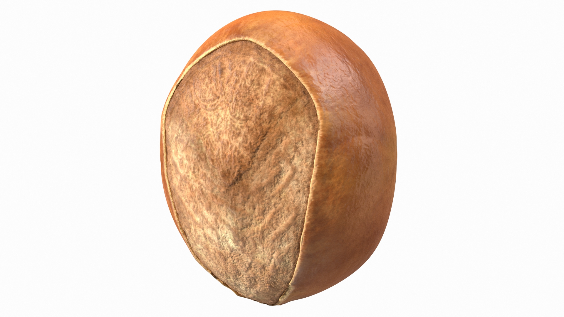 Shea Nut 3D Model - TurboSquid 1735551