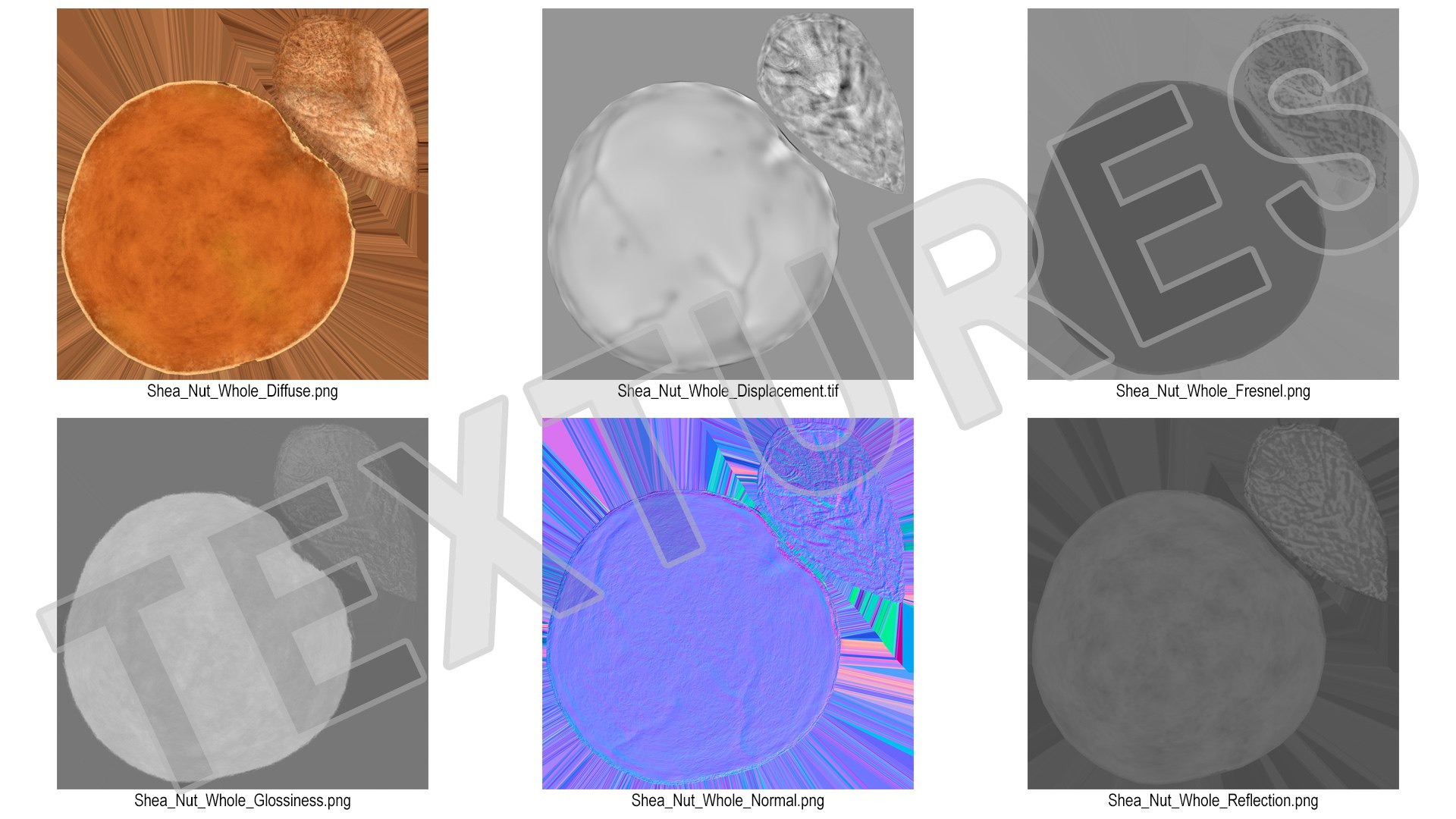 Shea Nut 3D model - TurboSquid 1735551