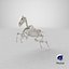 Jumping Horse Skeleton 3D Model - TurboSquid 1341399