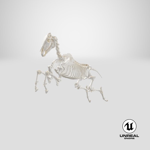 Jumping horse skeleton 3D model - TurboSquid 1341399