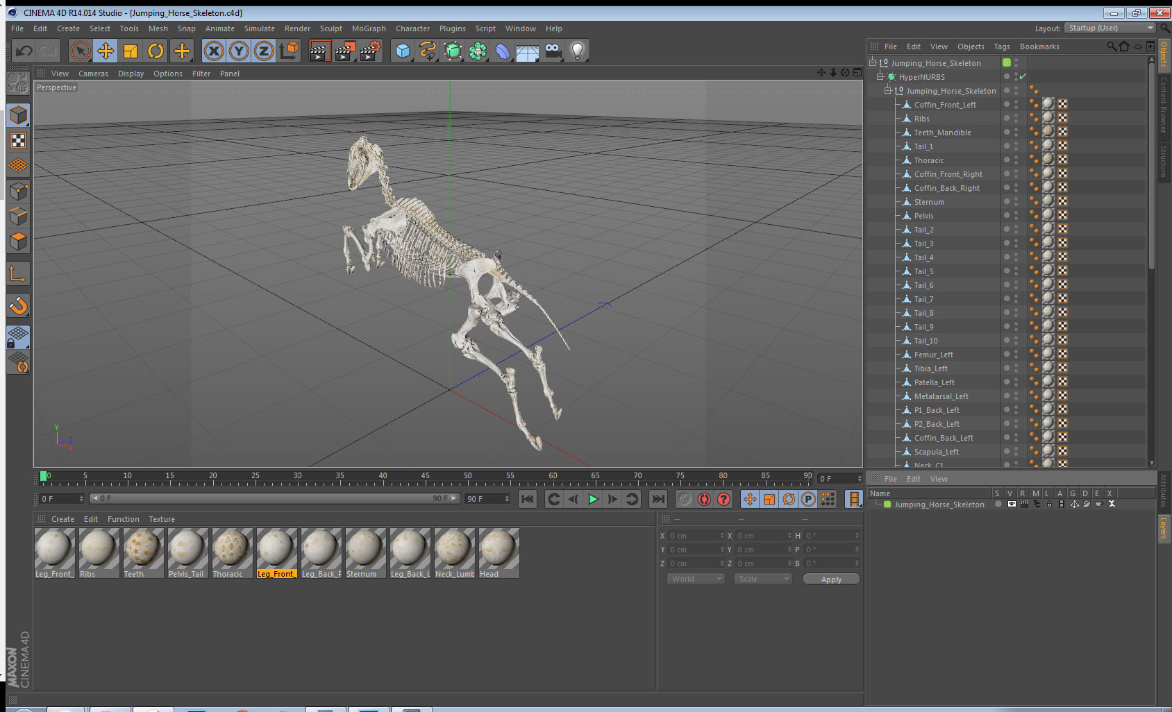 Jumping horse skeleton 3D model - TurboSquid 1341399
