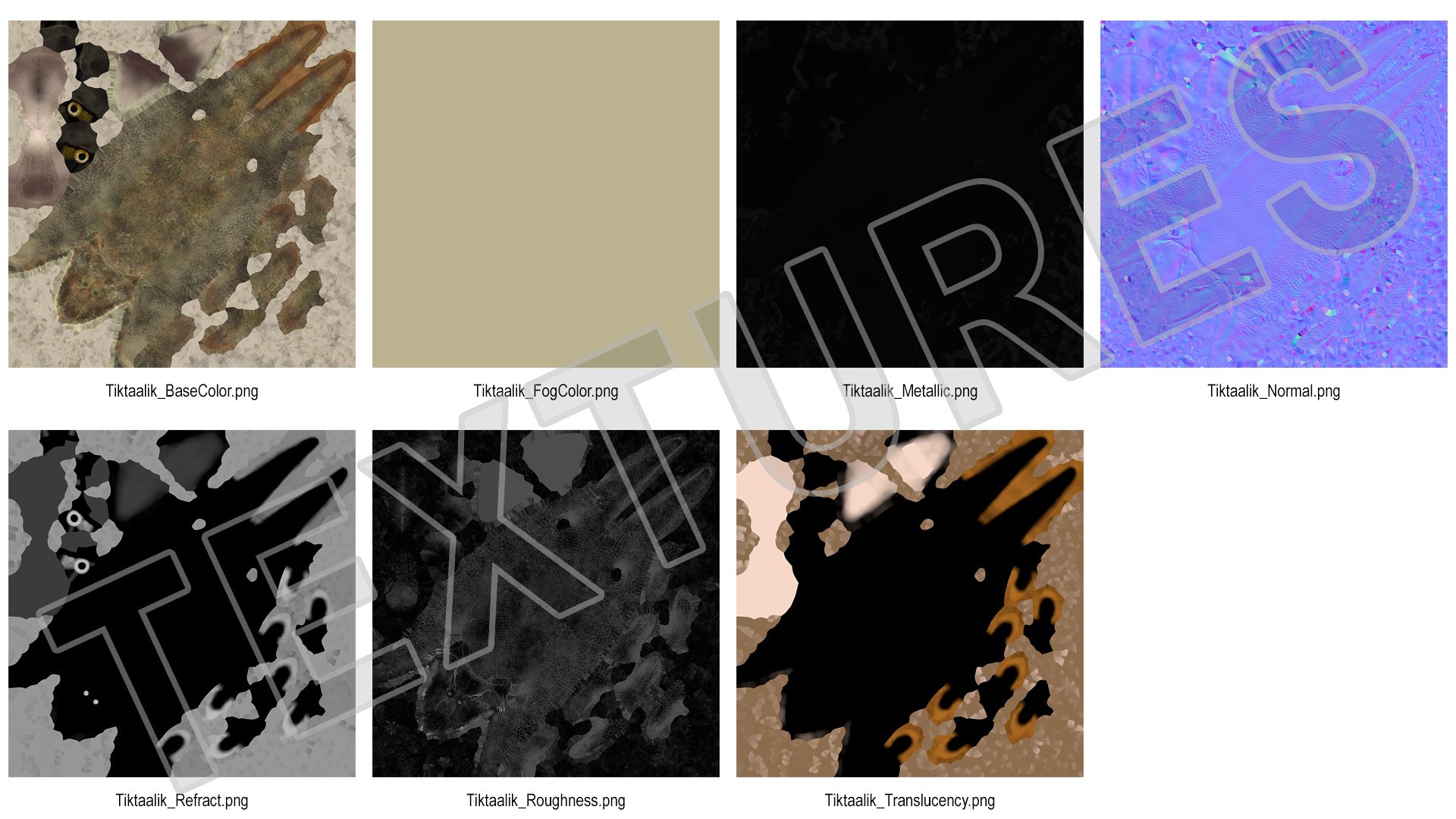 Tiktaalik Extinct Sarcopterygian 3D Model - TurboSquid 2318269