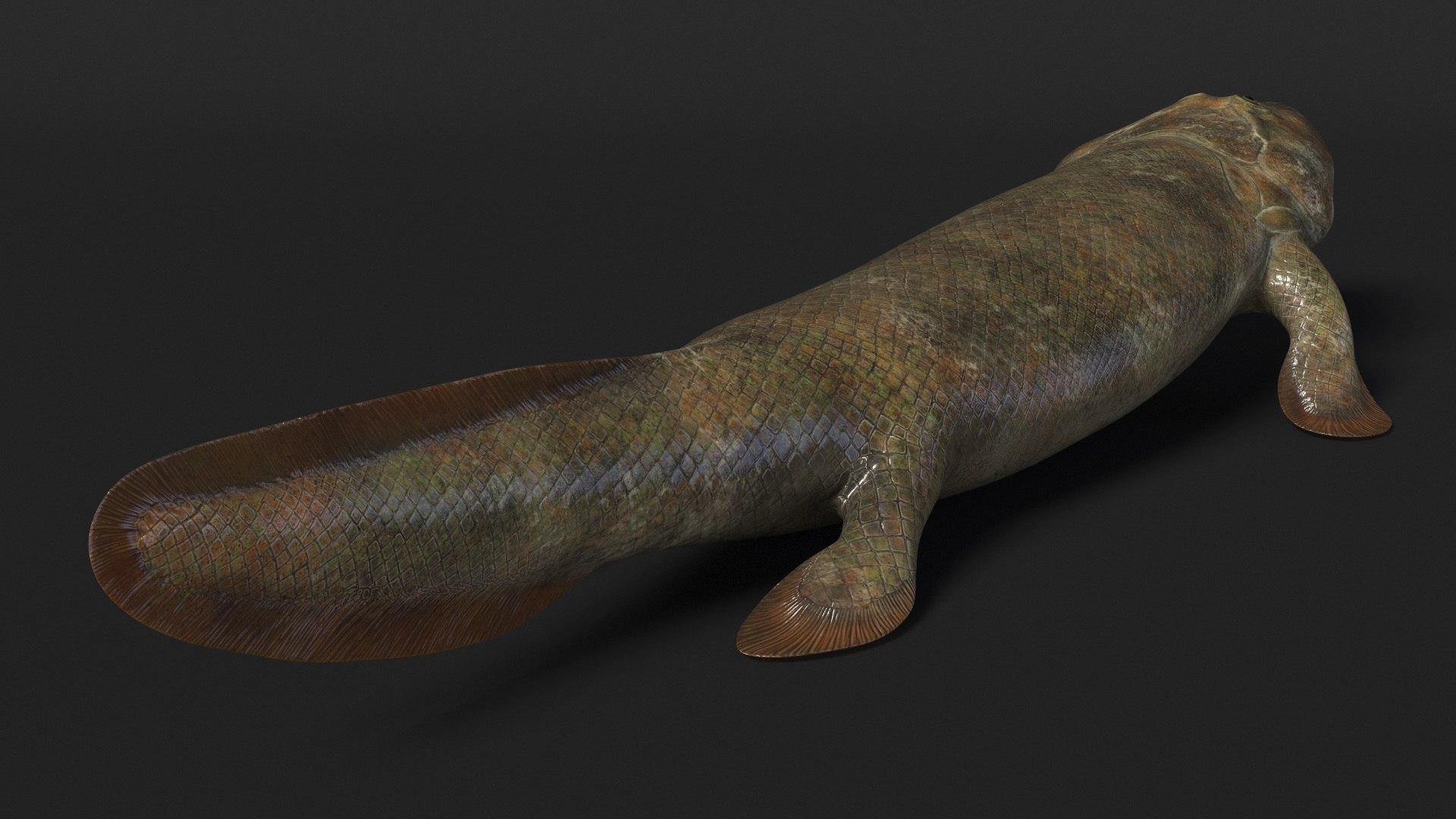 Tiktaalik Extinct Sarcopterygian 3D Model - TurboSquid 2318269